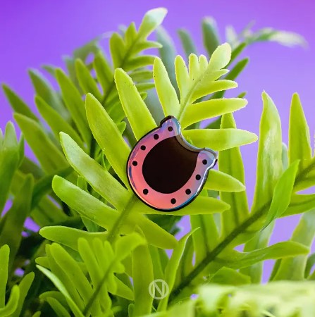 Horseshoe Pin Brooch